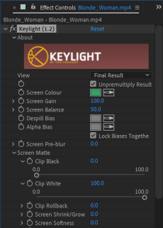 Keylight – powerful plugin in After Effects – PhotoVideoBeat